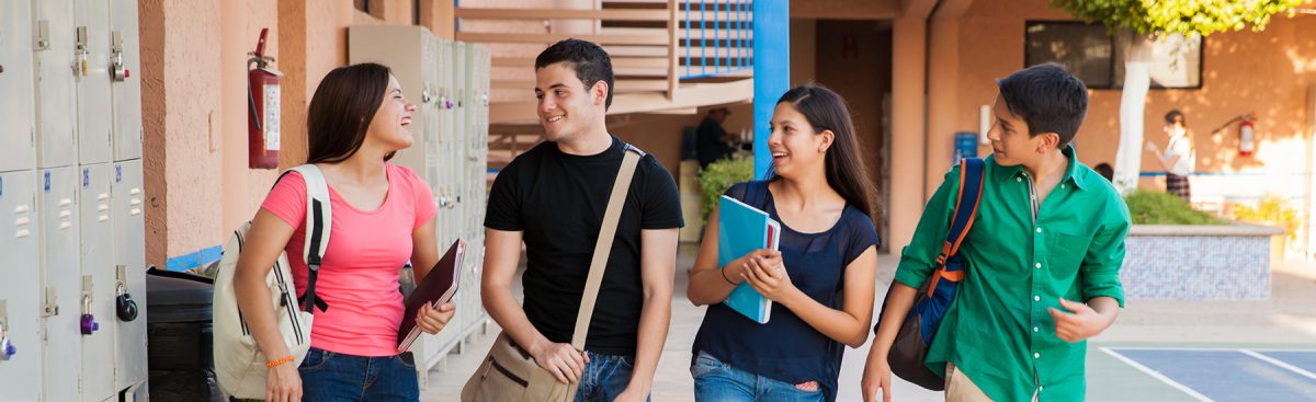 Learning Together – Blueprints for Healthy Youth Development